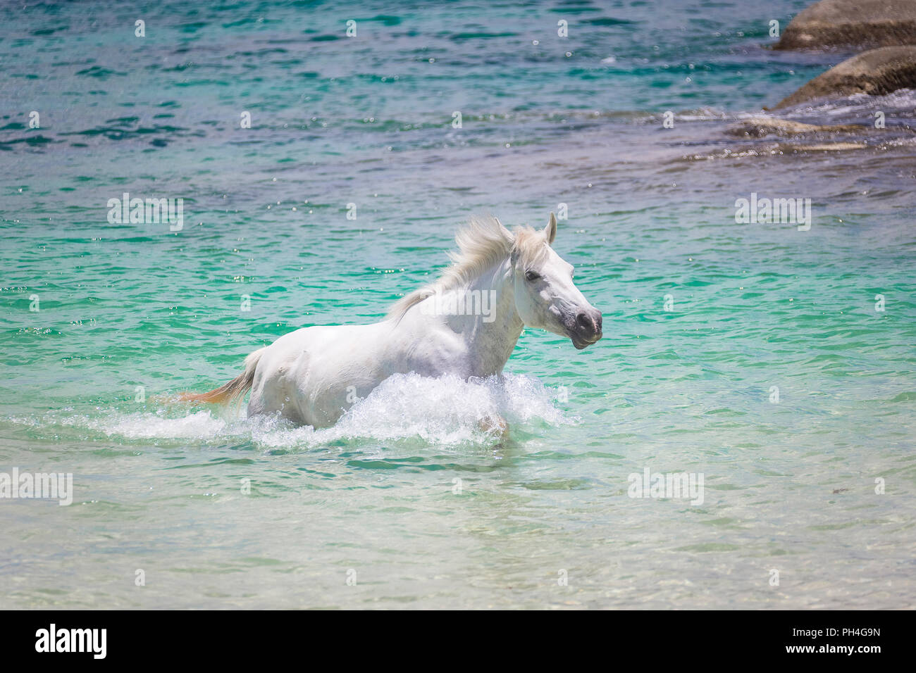 Sea coast in mare hi-res stock photography and images - Alamy