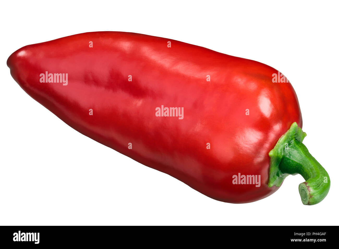 Giant sweet pepper (Capsicum annuum), ripe whole pod Stock Photo - Alamy
