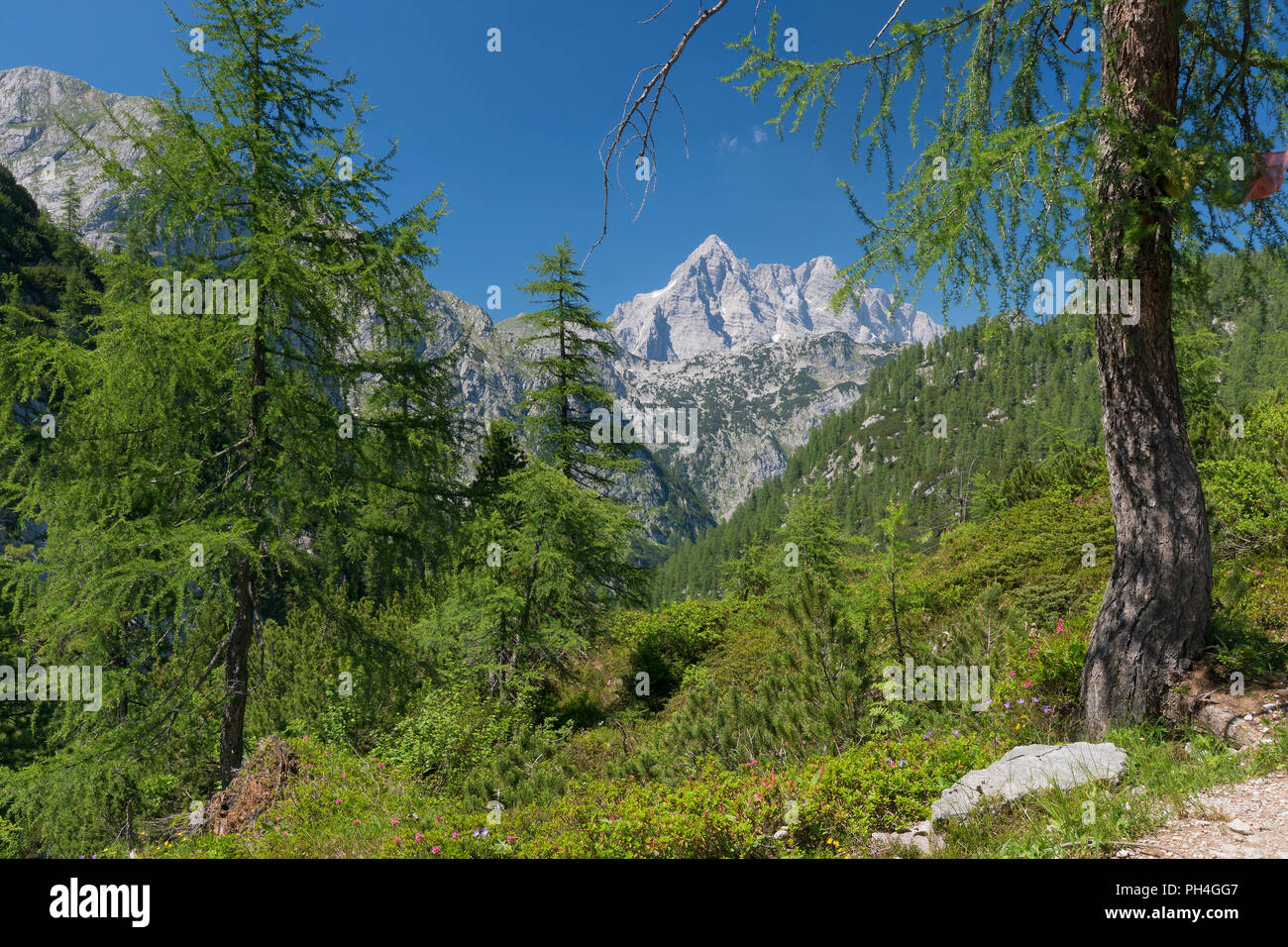 On the way to the lake Funtensee in the Steinernen Meer with the ...