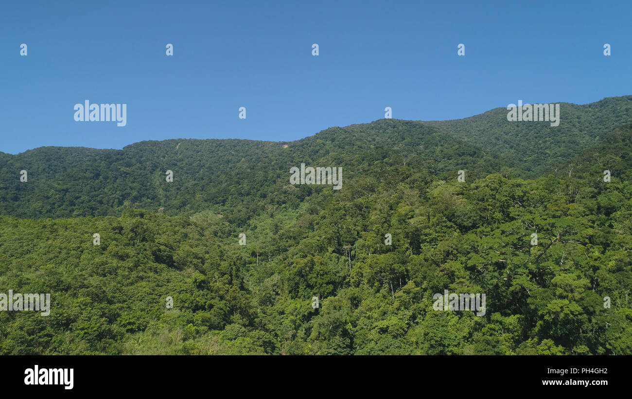Aerial view of mountains with green forest, trees, jungle with blue sky ...
