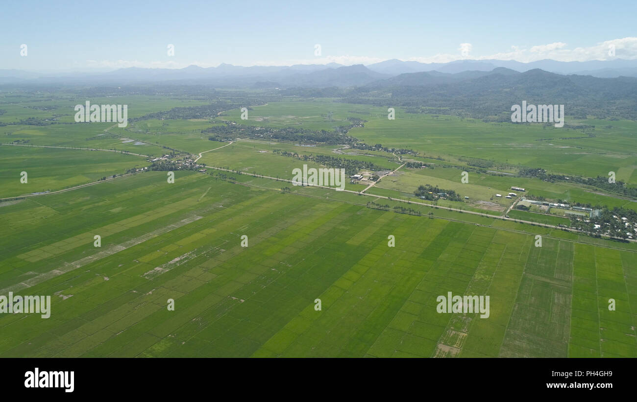 Aerial view of rice terrace, agricultural land of farmers. Tropical ...
