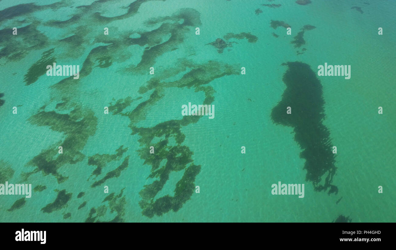 Beautiful coral reef Seascape with a coral reef in clear turquoise ...