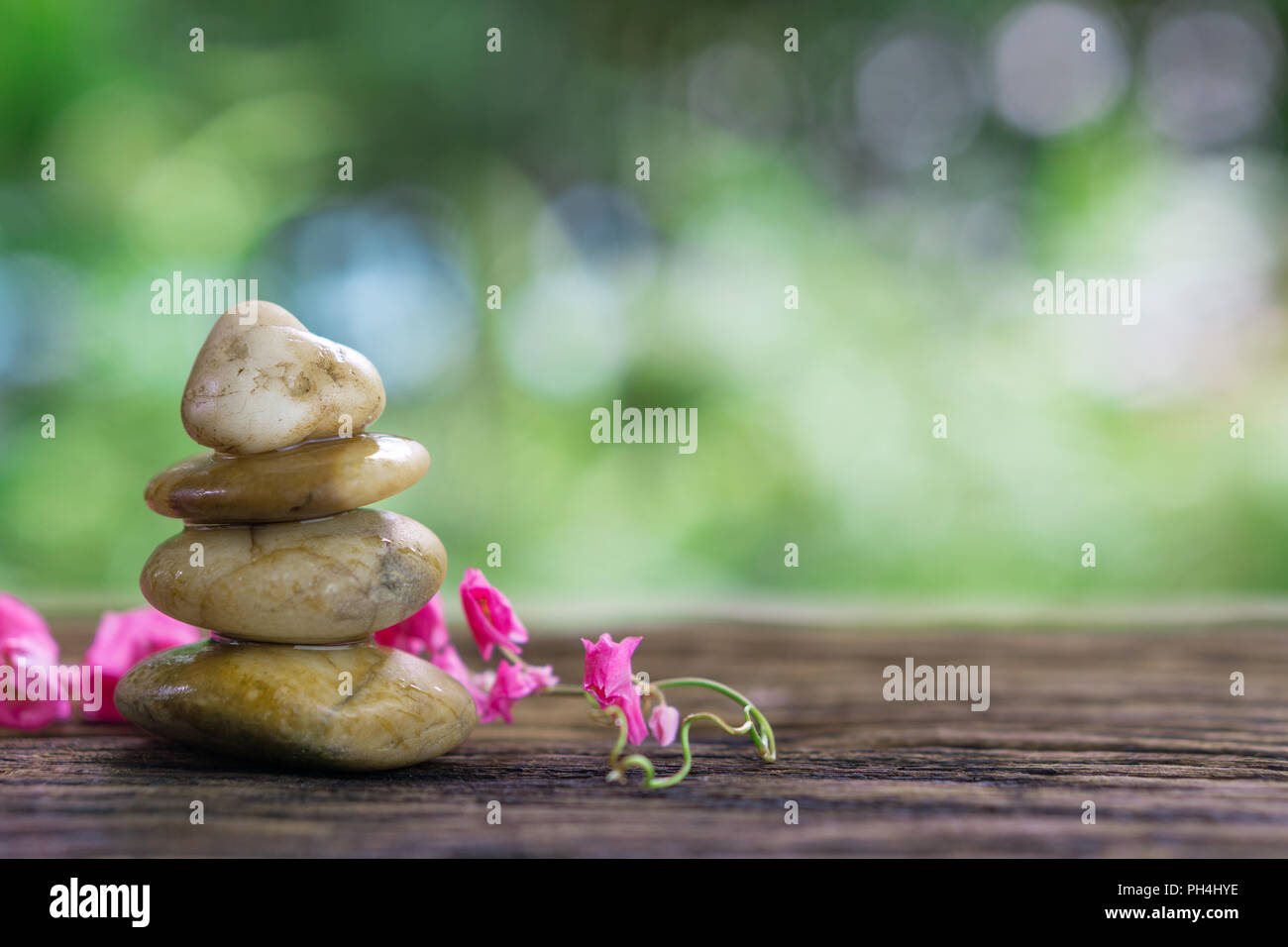 Balance Zen stones and pink flower on wood with green bokeh background ...