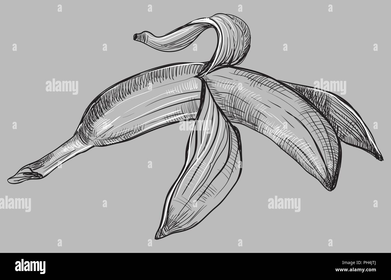 Hand drawn fruit banana. Vector monochrome illustration isolated on grey background Stock Vector ...