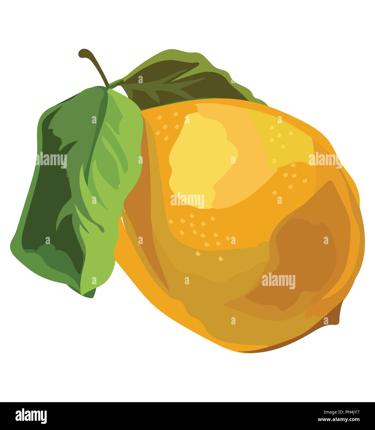 Lemon Stock Vector Images - Alamy