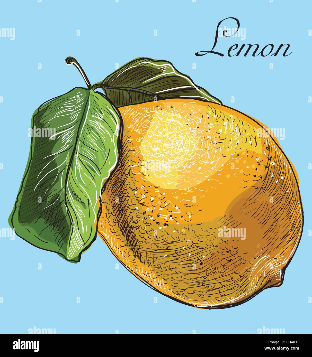 Hand drawn fruit- lemon. Vector colorful illustration isolated on blue ...