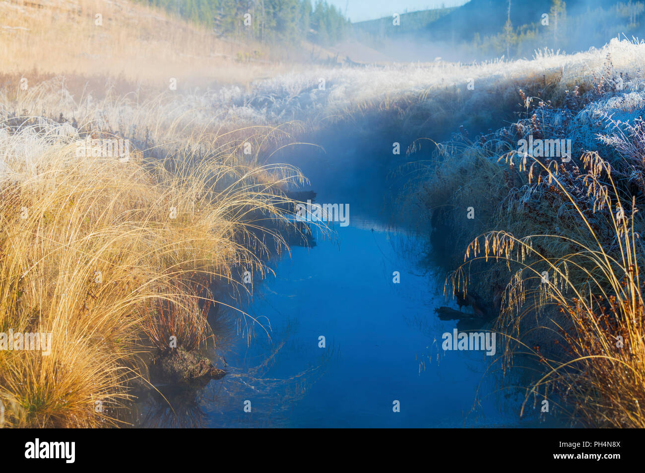 Obsidian Creek, Yellowstone National Park, USA Stock Photo - Alamy