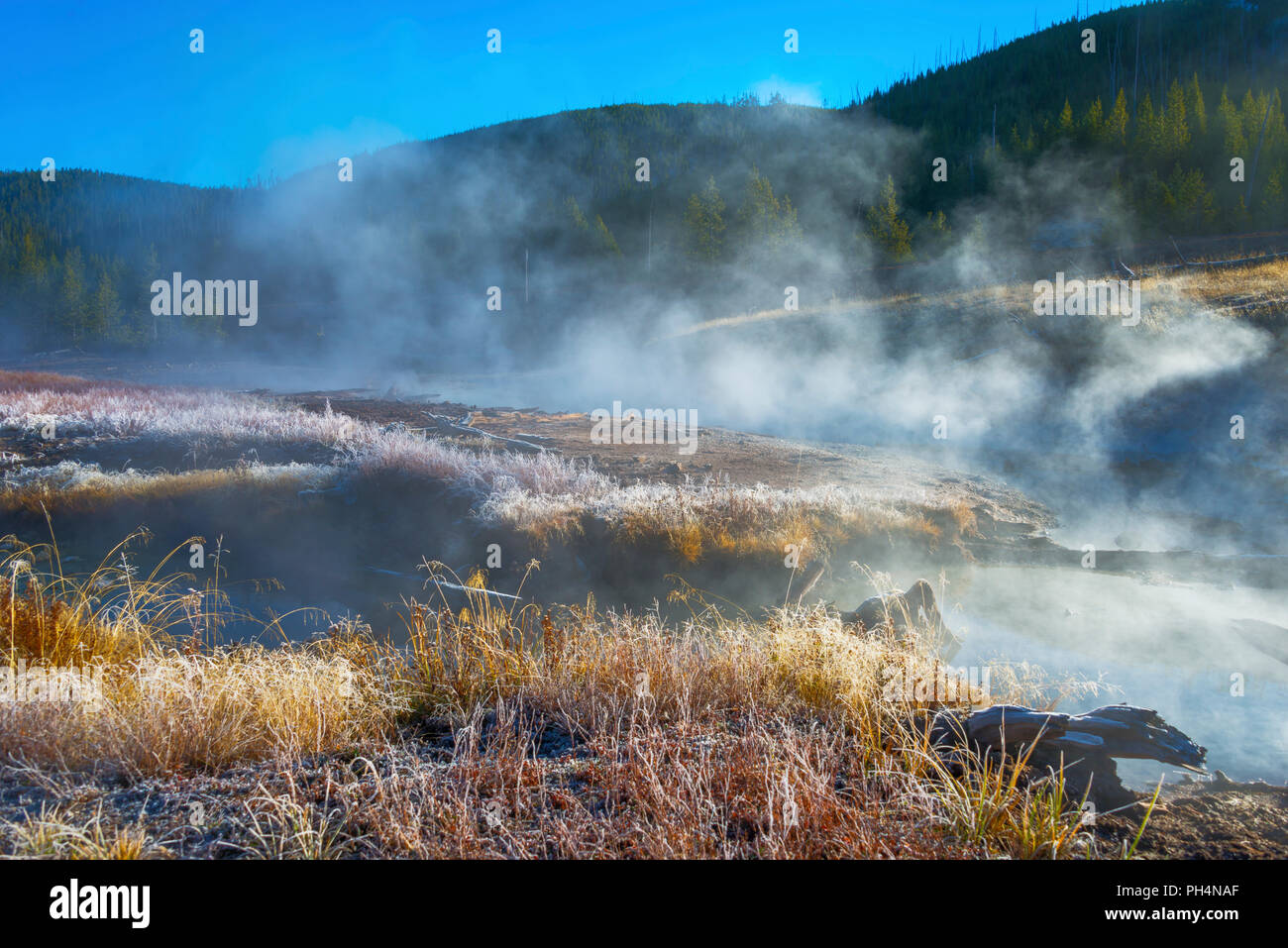 Obsidian Creek, Yellowstone National Park, USA Stock Photo - Alamy