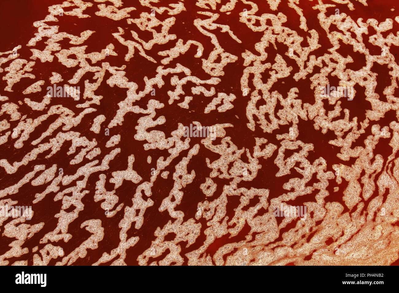 Foam forms hi-res stock photography and images - Alamy