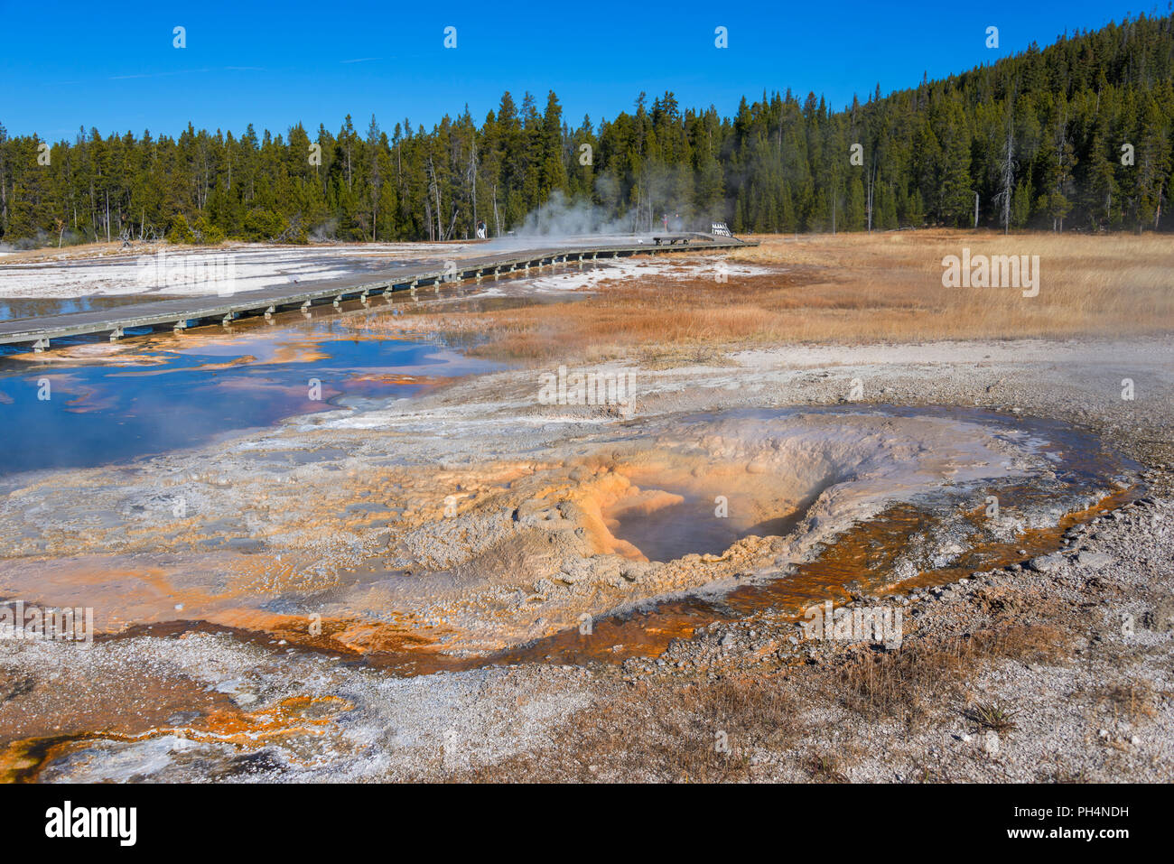 Kidney geyser hi-res stock photography and images - Alamy