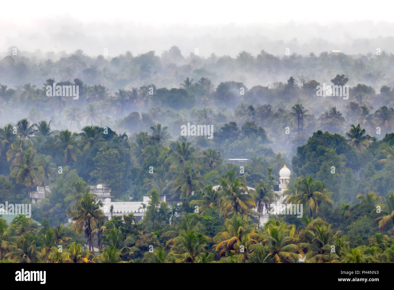 Countryside morning fog in Kerala, India Stock Photo - Alamy