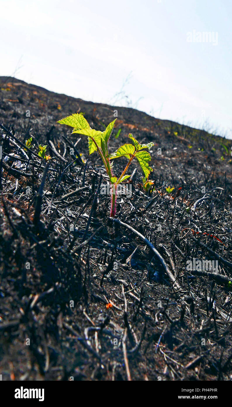 Burnt earth hi-res stock photography and images - Alamy