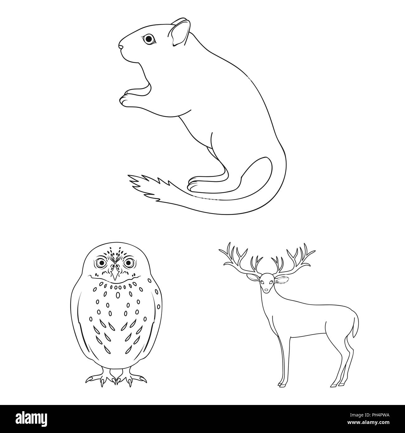 Realistic animals outline icons in set collection for design. Wild and ...