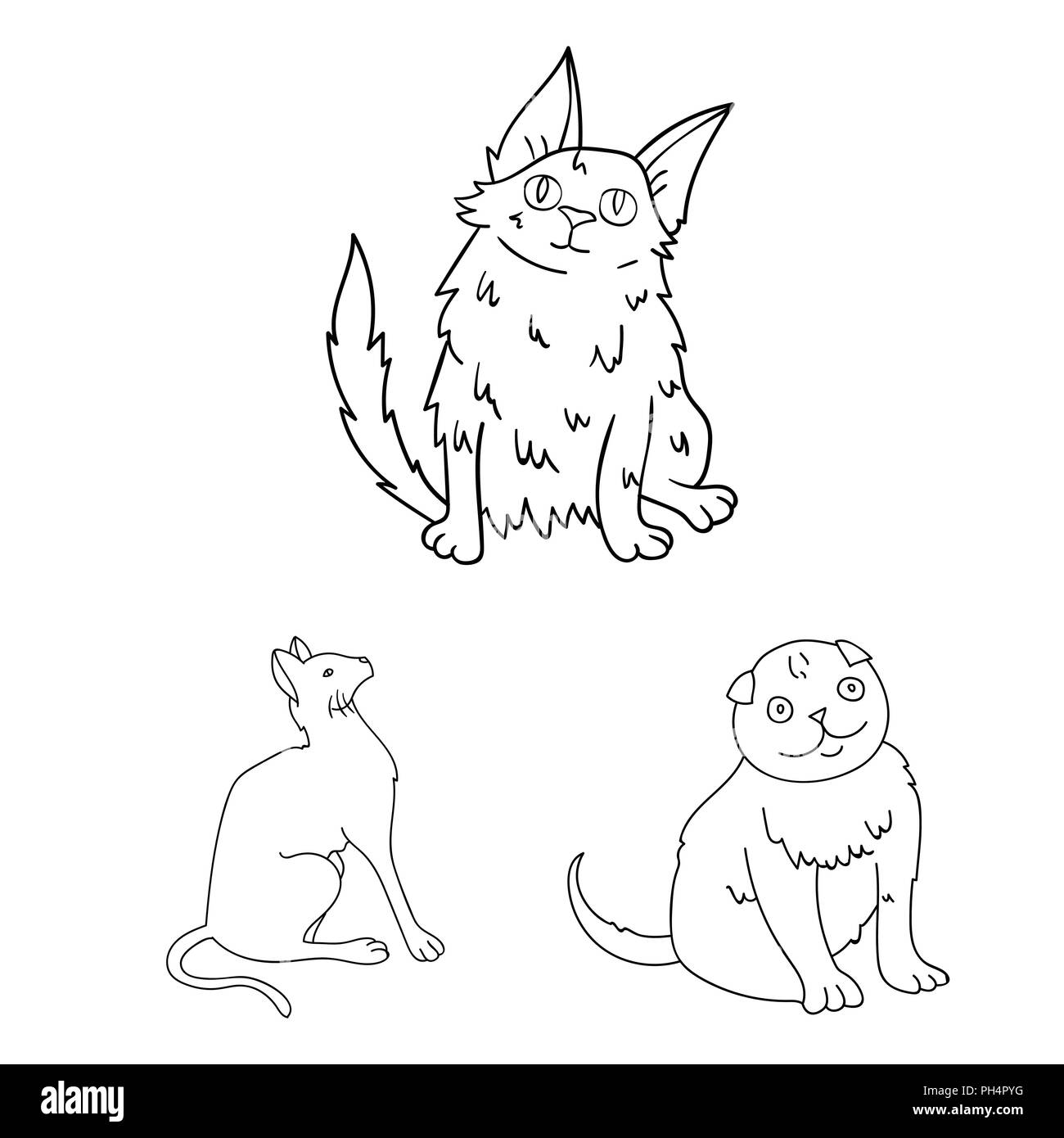 Breeds of cats outline icons in set collection for design. Pet cat ...