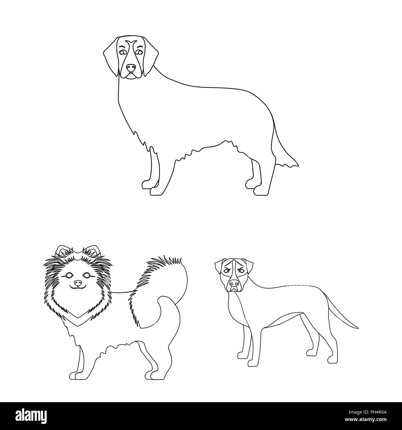 Dog breeds outline icons in set collection for design.Dog pet vector ...
