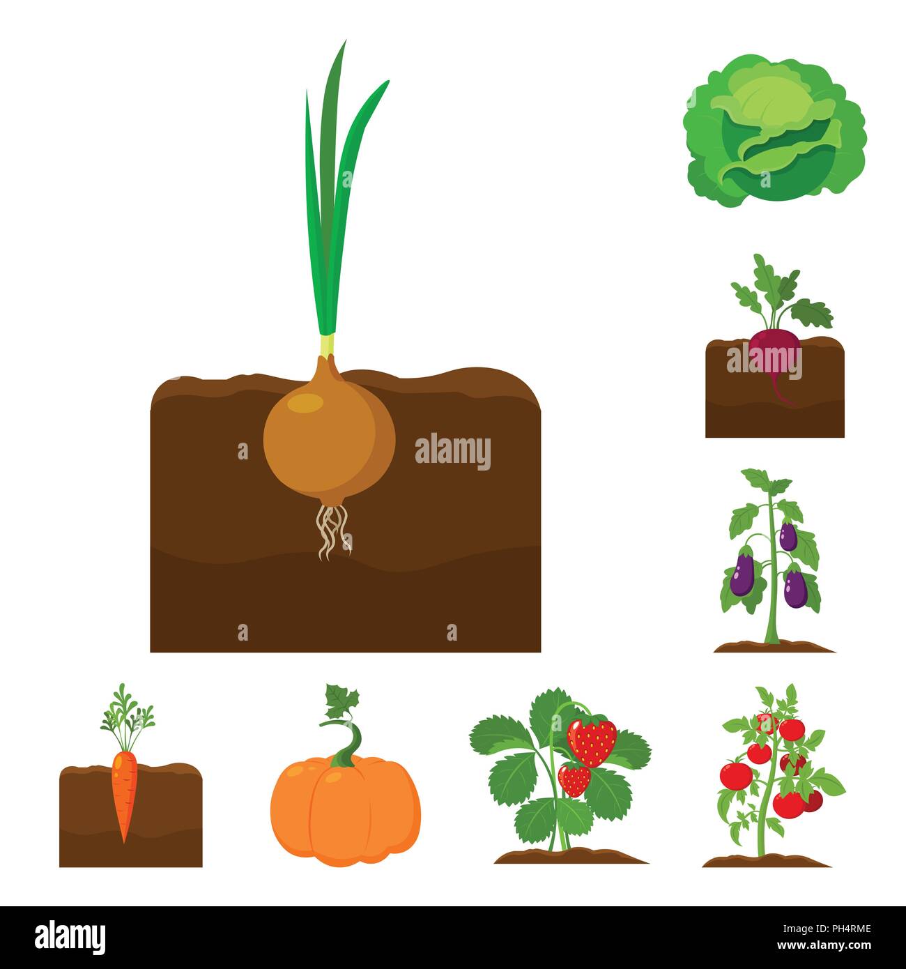 Plant, vegetable cartoon icons in set collection for design. Garden and ...
