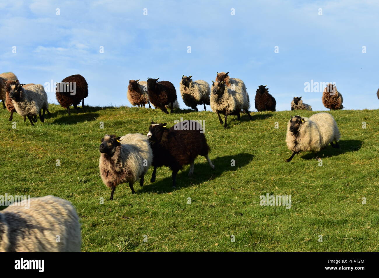 Crest of a hill hi-res stock photography and images - Alamy