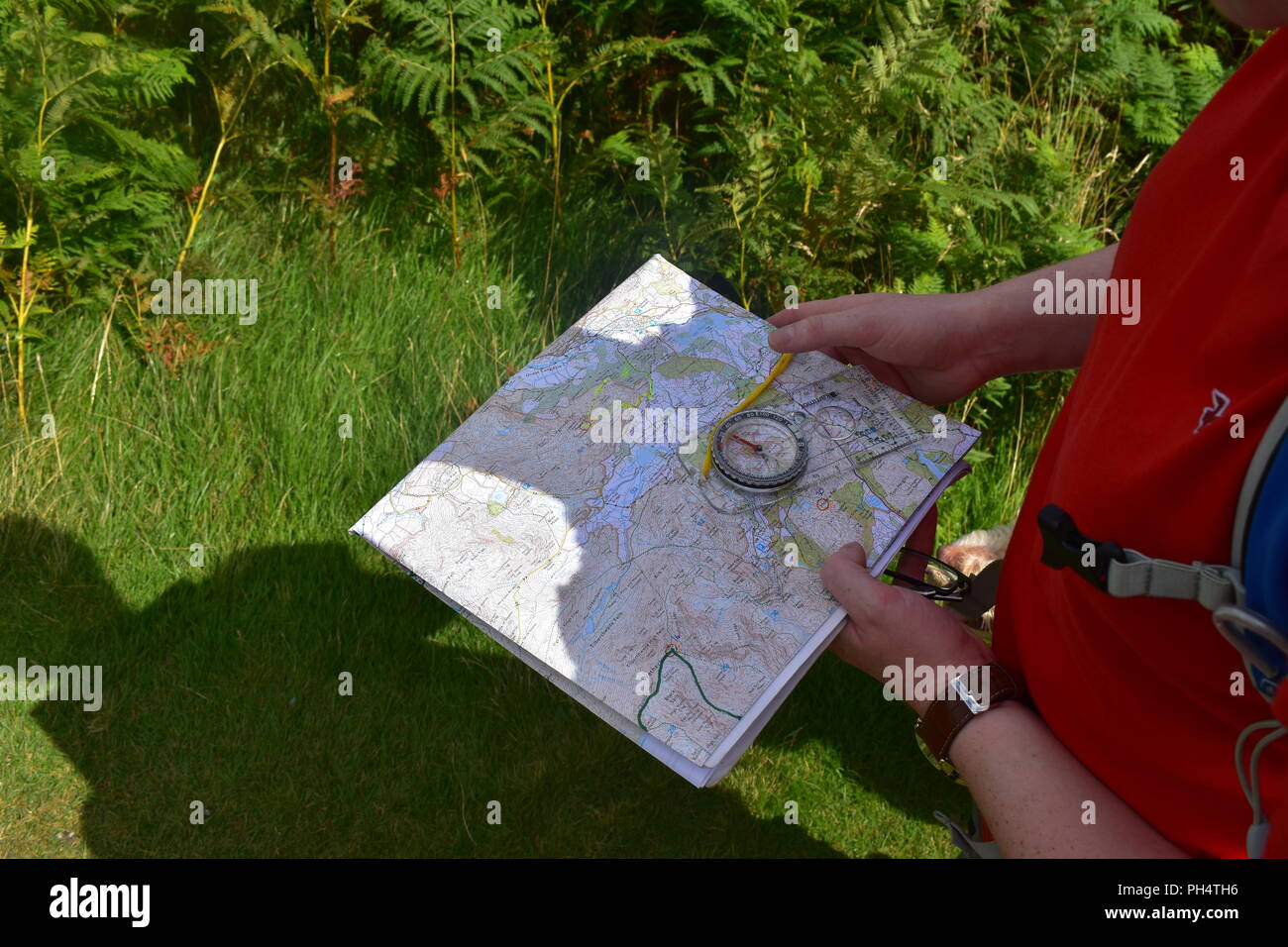 Looking at a map to find the way Stock Photo - Alamy