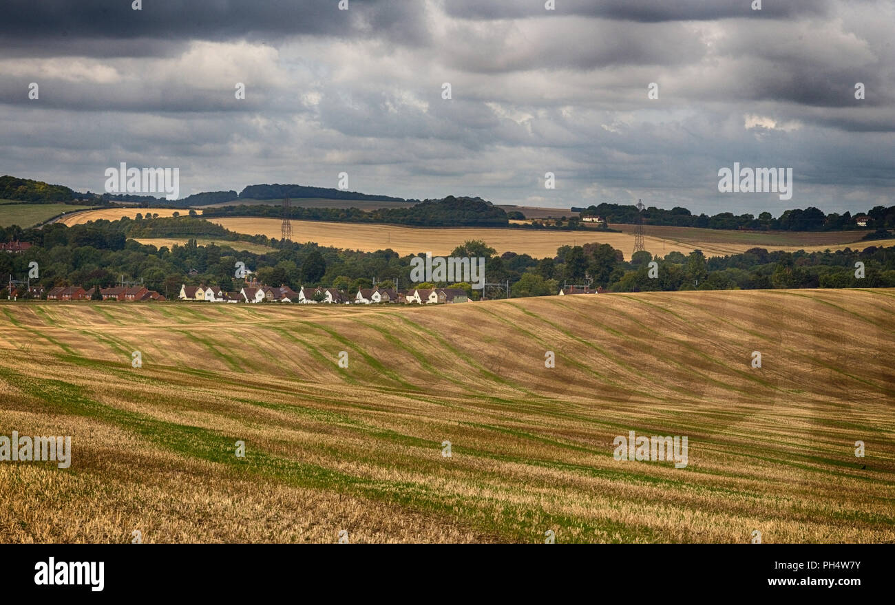 Chiltern fields hi-res stock photography and images - Alamy