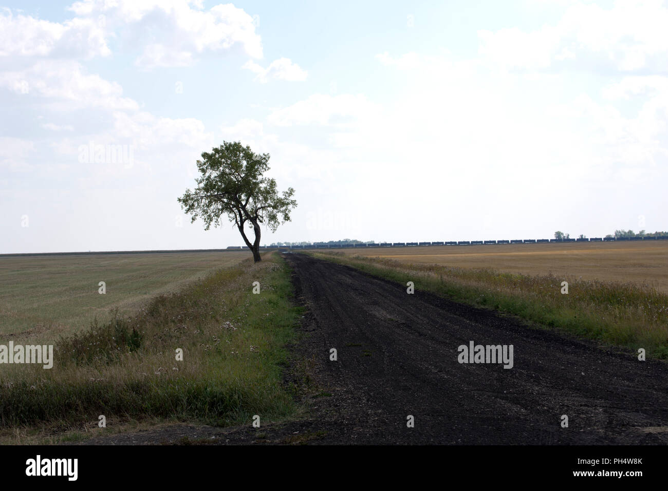 Crops on the prairie hi-res stock photography and images - Alamy