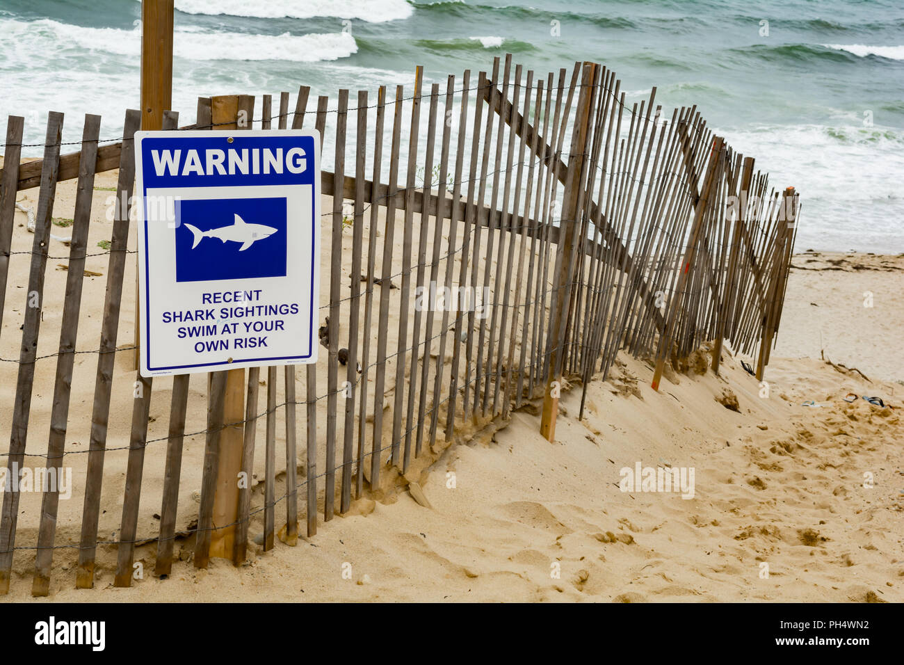 Great White Shark Warning Signs on Beach Stock Photo - Alamy