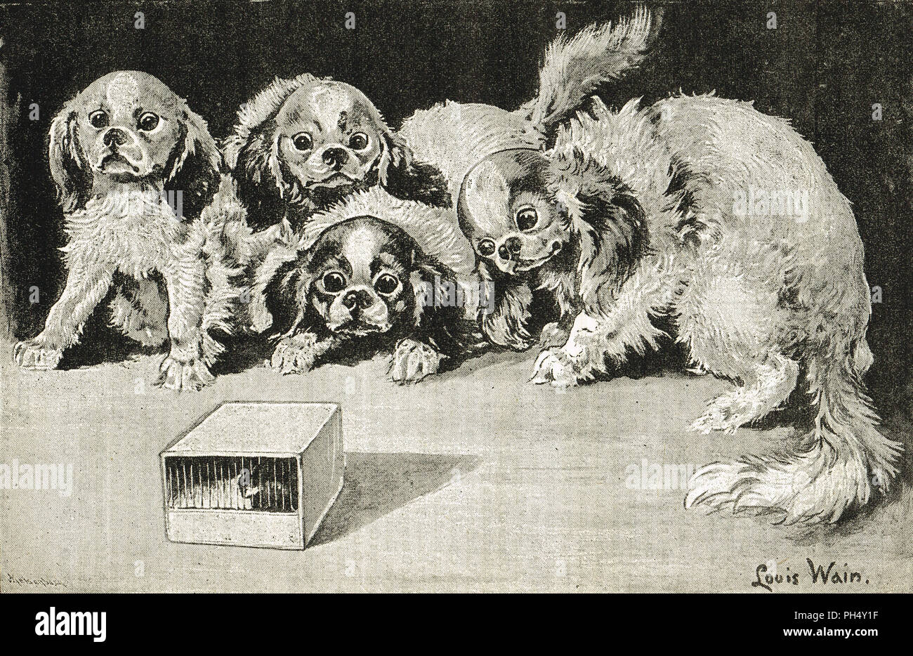 Louis wain hi-res stock photography and images - Alamy