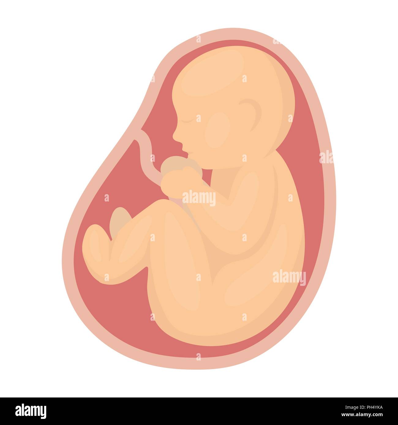 Fetus icon in cartoon style isolated on white background. Pregnancy ...