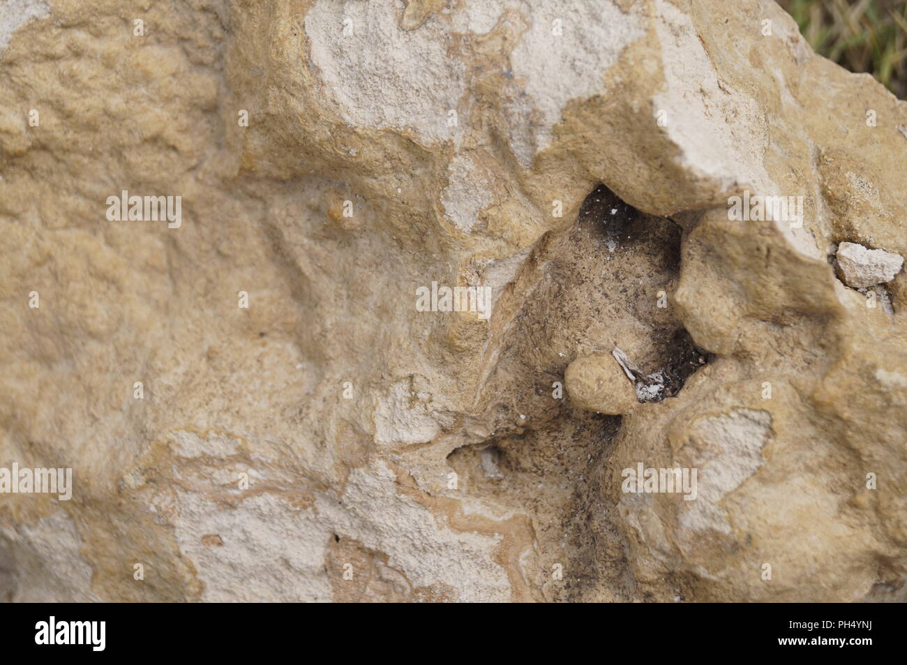 Beautiful natural textures hi-res stock photography and images - Alamy