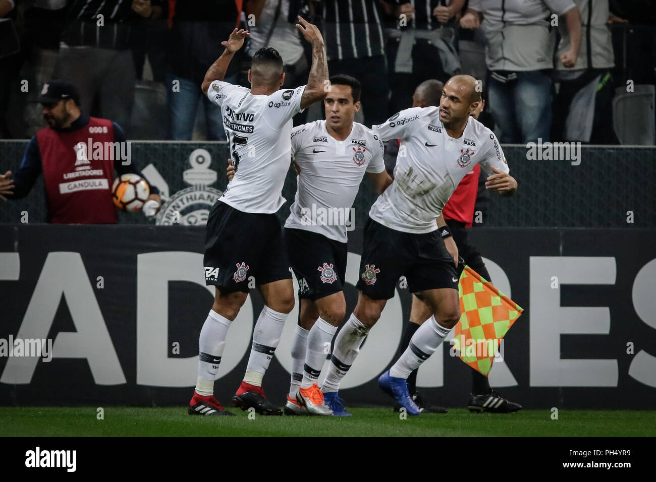 Colo colo goal hi-res stock photography and images - Alamy