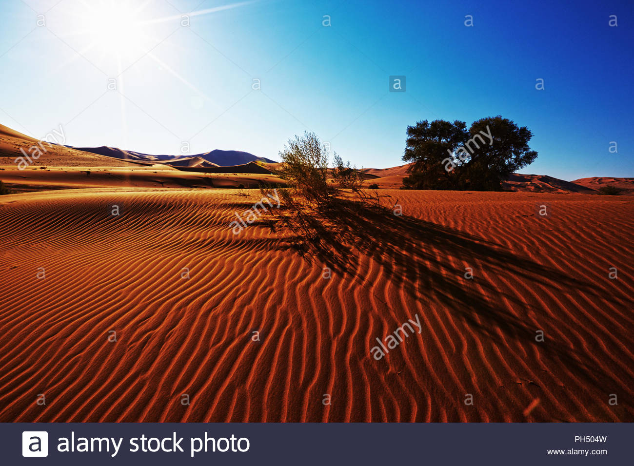 Arid Desert Landscape High Resolution Stock Photography and Images - Alamy