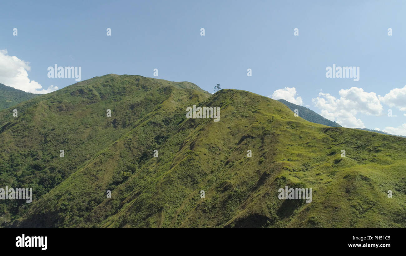 Aerial view of mountains covered forest, trees against the sky and ...