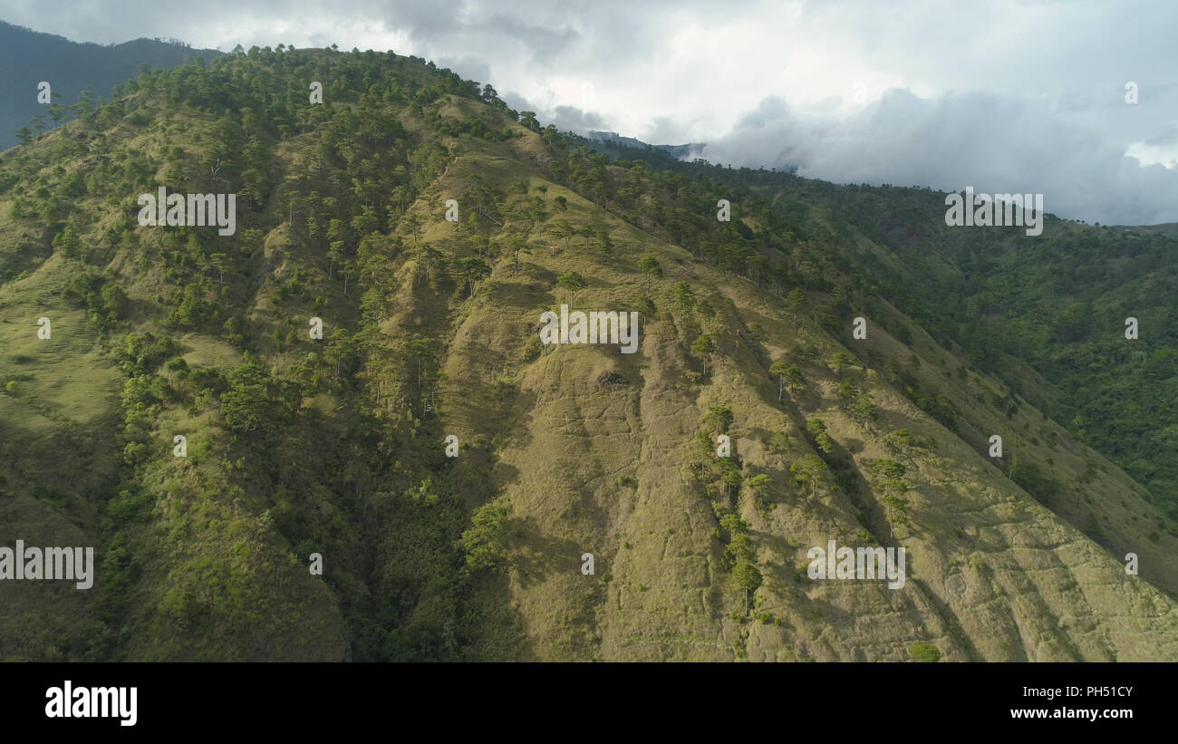 Aerial view of mountains covered forest, trees against the sky and ...