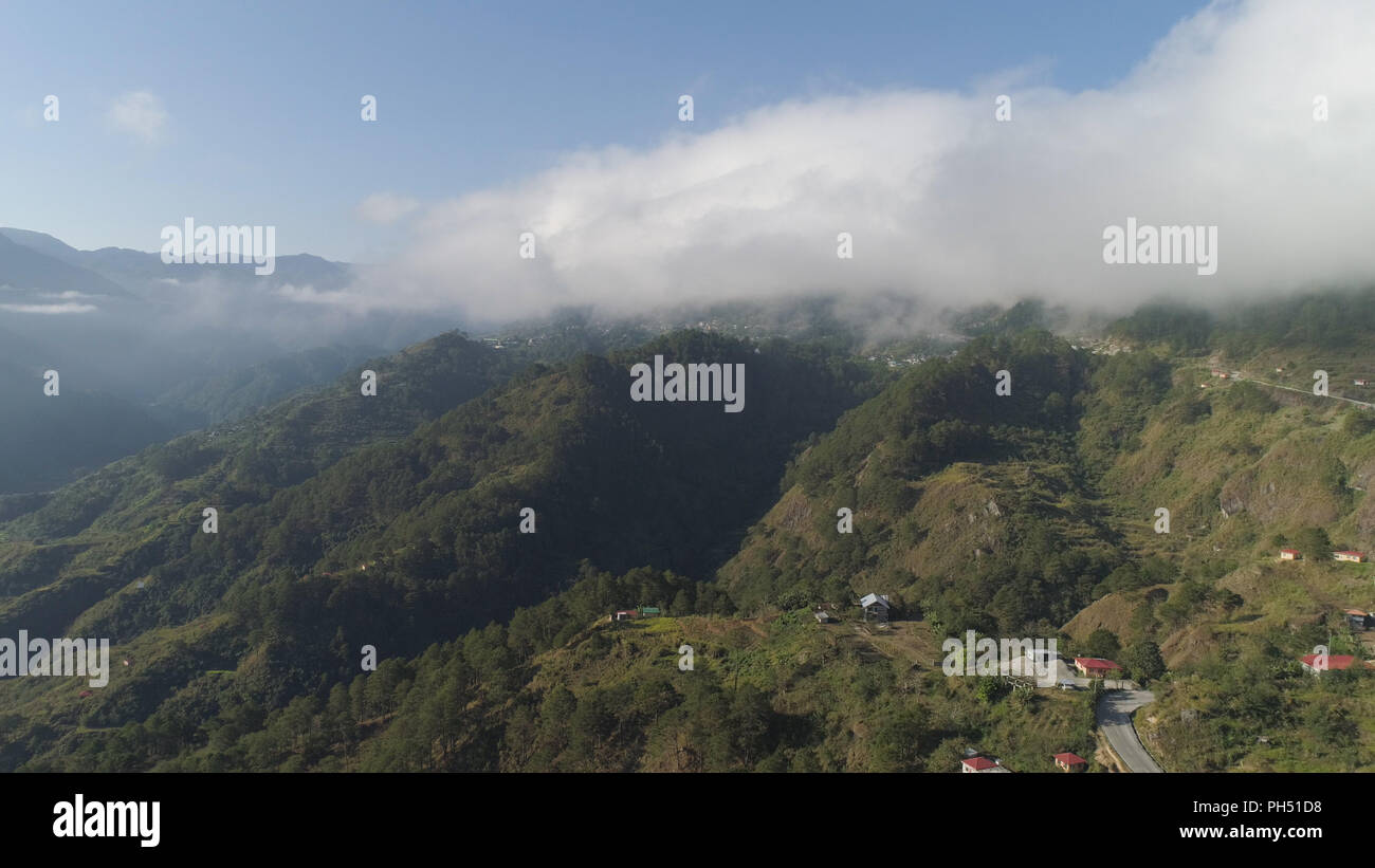 Aerial view of mountains covered forest, trees in clouds and fog ...