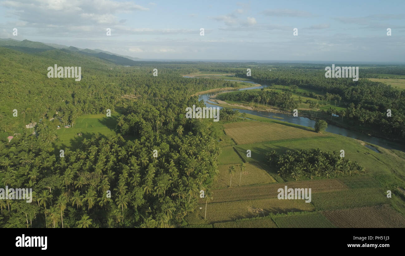 Aerial view river passing through farmlands and rice terraces ...