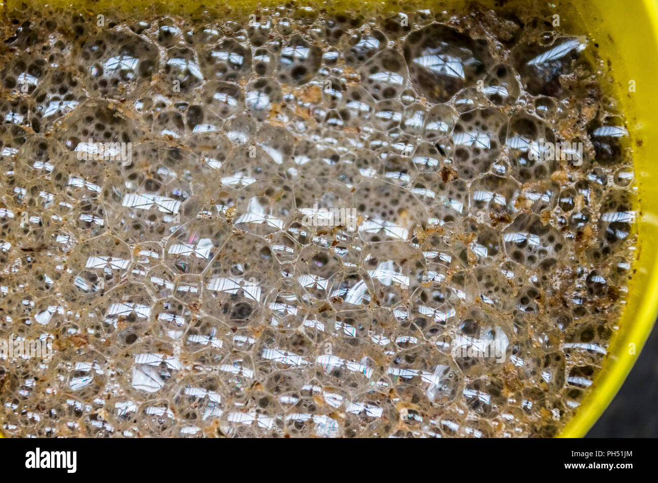 Mash for horses Stock Photo - Alamy