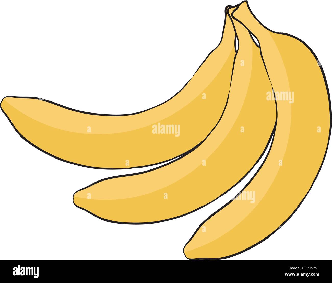 Banana vector sketch hi-res stock photography and images - Alamy