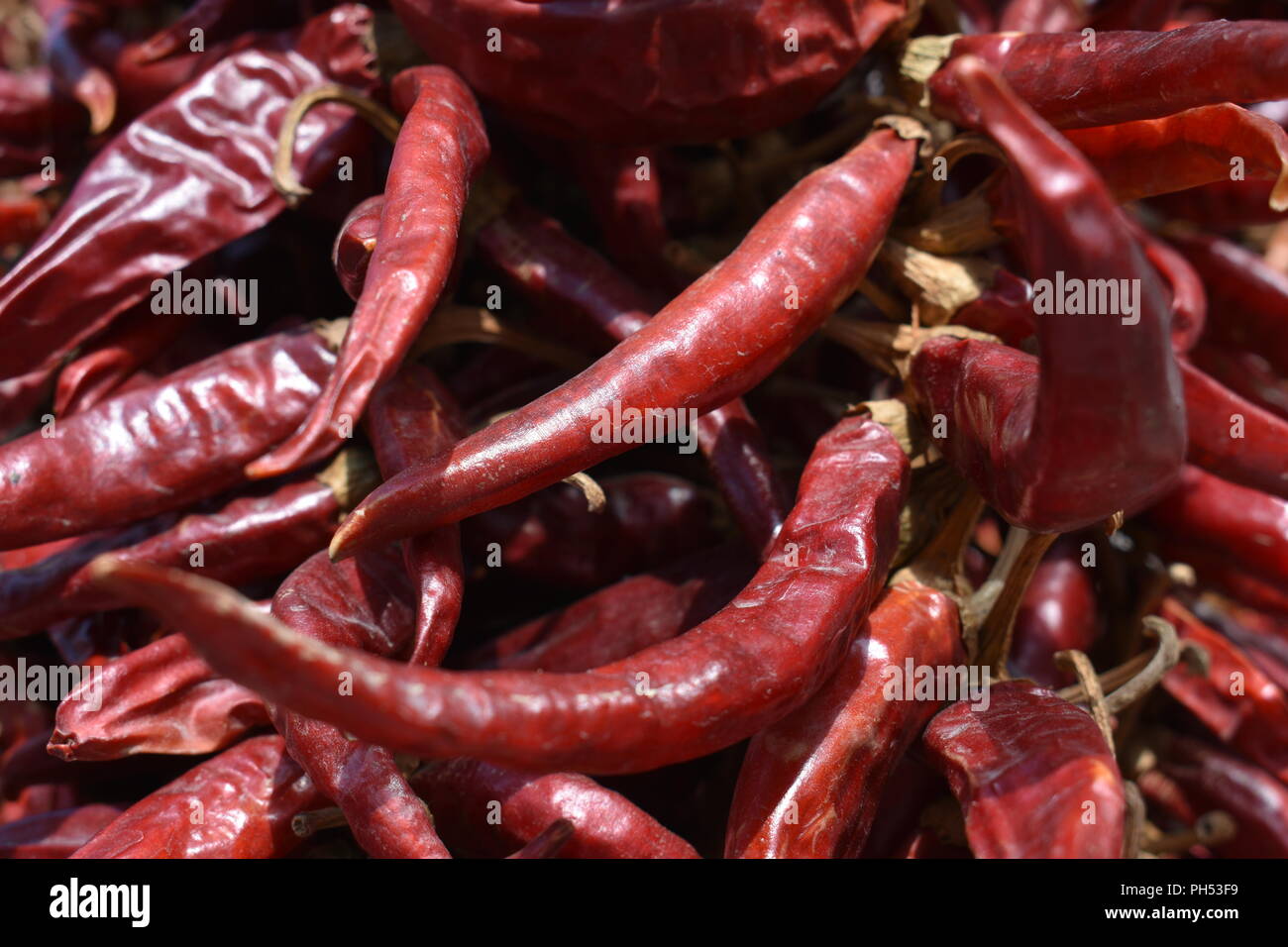 Chili peppers bunch hi-res stock photography and images - Alamy