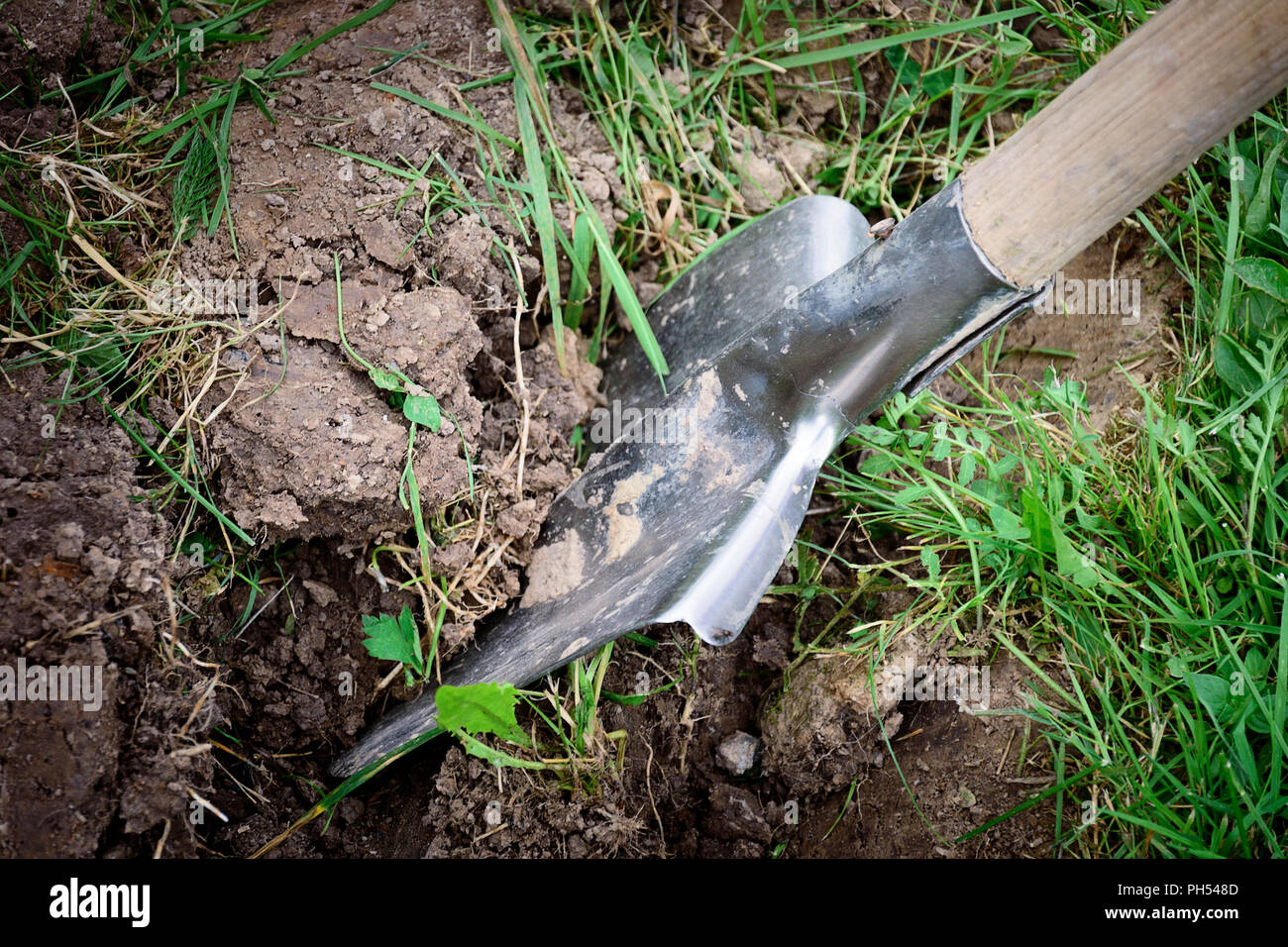 Soil with shovel in garden Stock Photo - Alamy