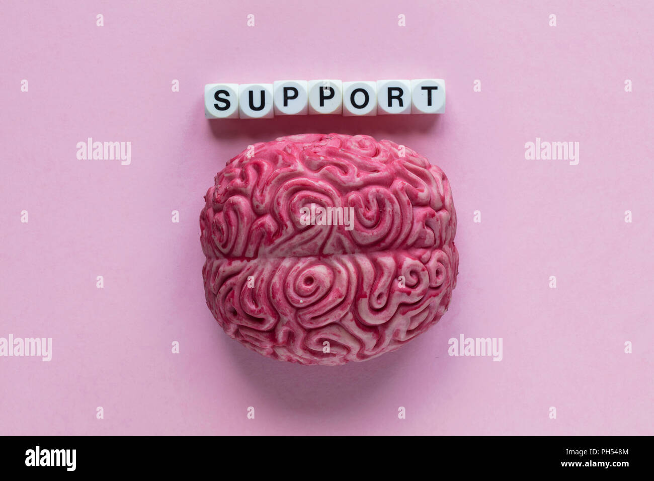 Human brain with the word support. Mental health concept Stock Photo ...