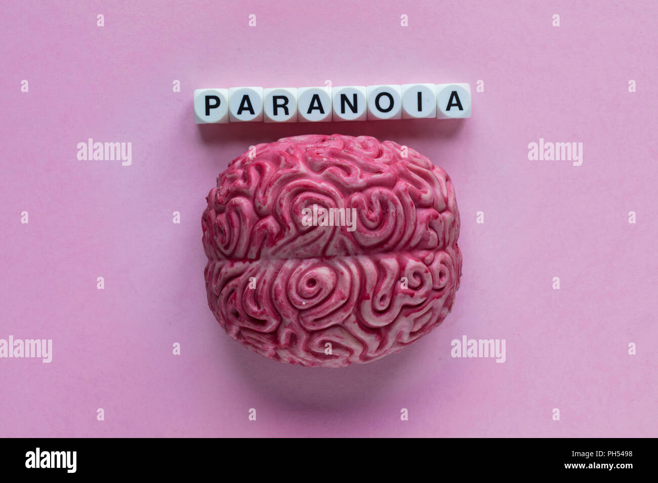 Human brain with the word paranoia. Mental health concept Stock Photo ...
