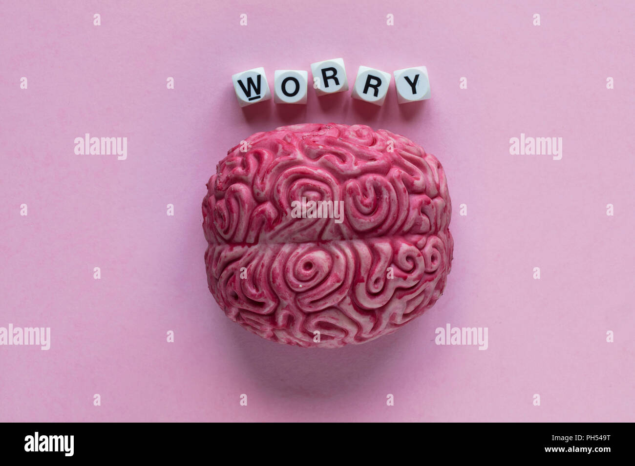 Human brain with the word worry. Mental health concept Stock Photo - Alamy