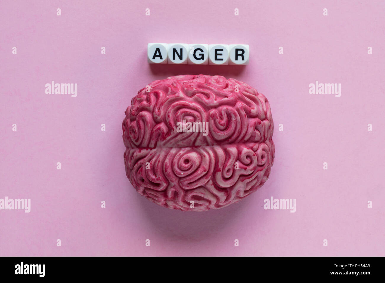 Human brain with the word anger. Mental health concept Stock Photo - Alamy