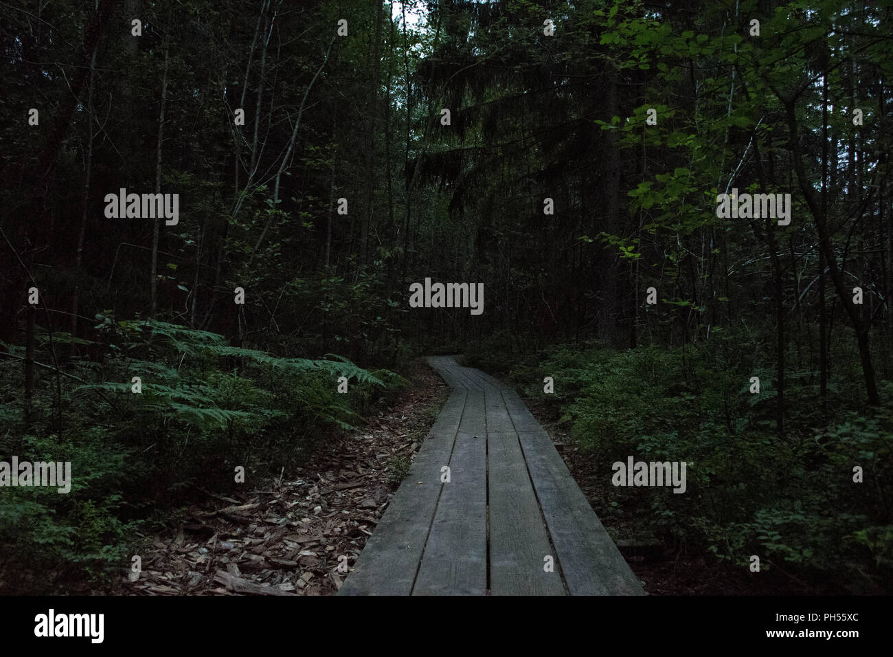 A dark path Stock Photo - Alamy