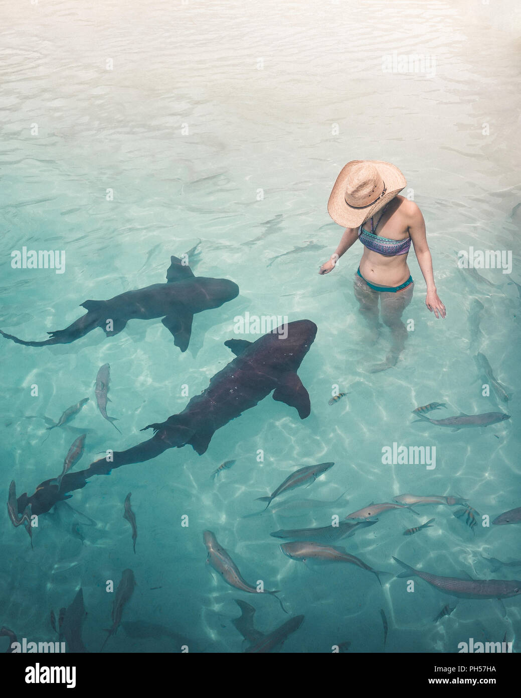 Underwater compass hi-res stock photography and images - Alamy