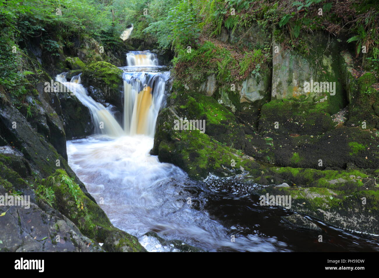 A scene from the Ingleton Waterfall Trail in the Yorkshire Dales ...