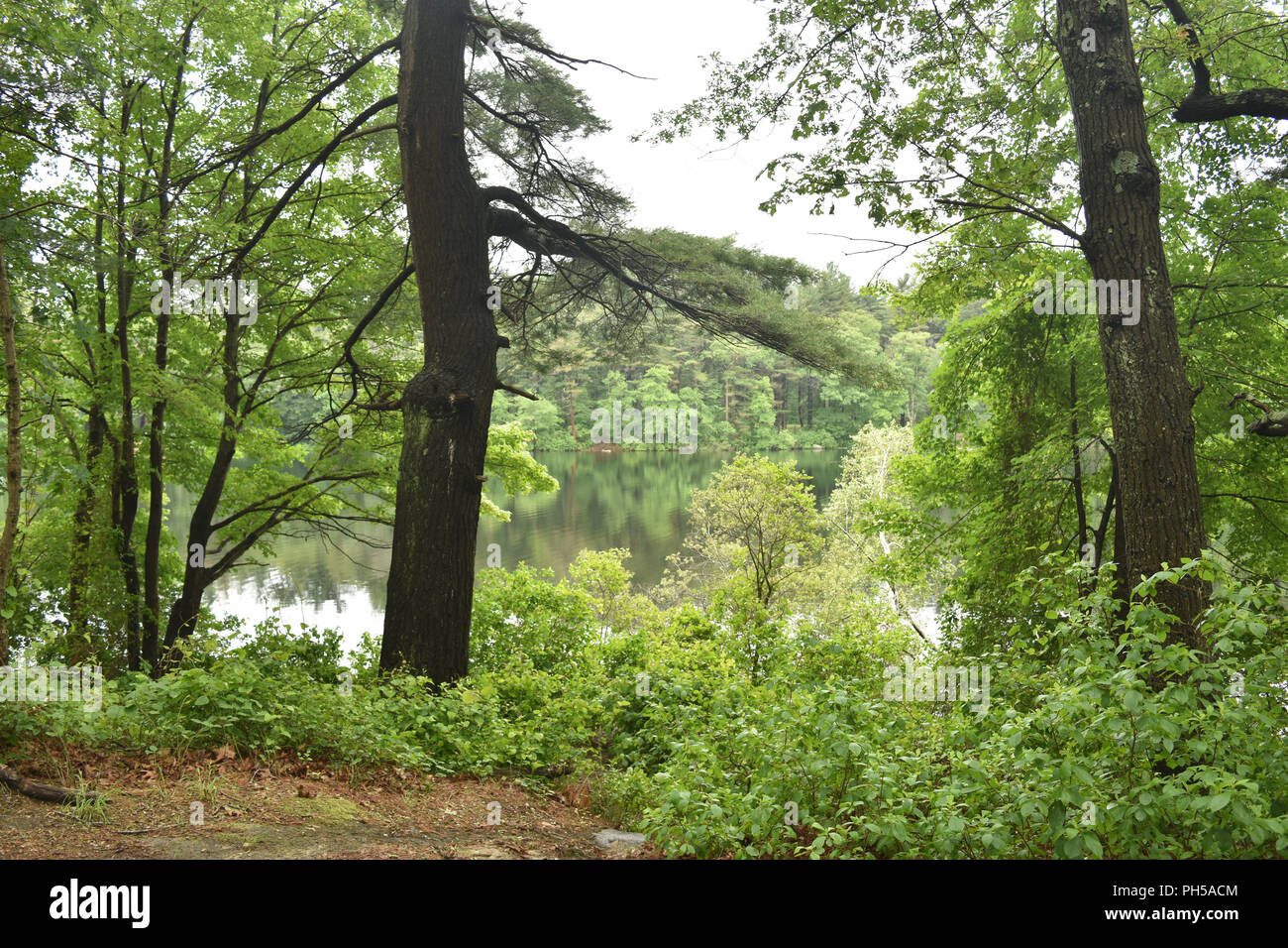 Blue hills reservation massachusetts hi-res stock photography and ...