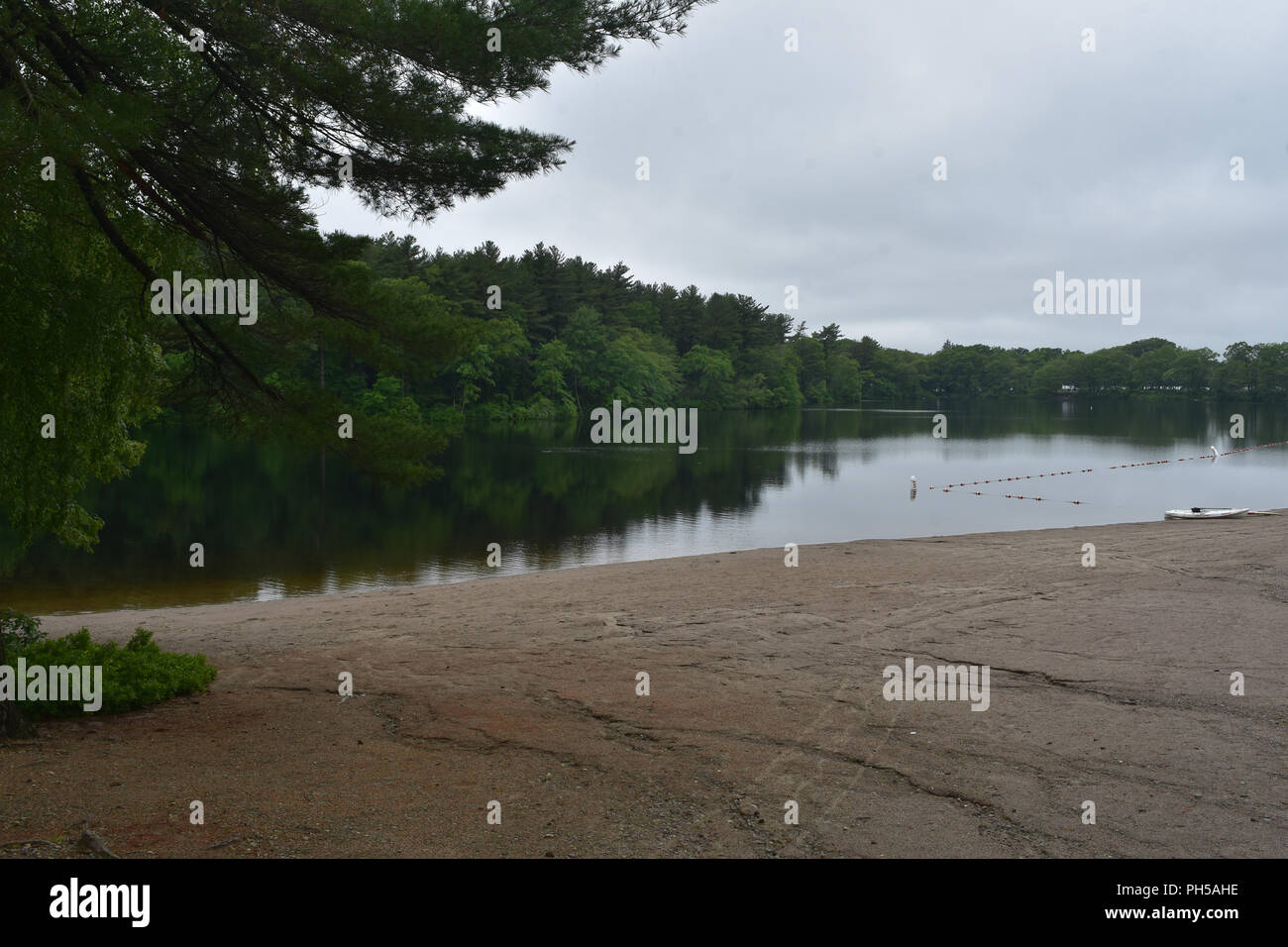 Beautiful natural forest and pond in new england Stock Photo - Alamy