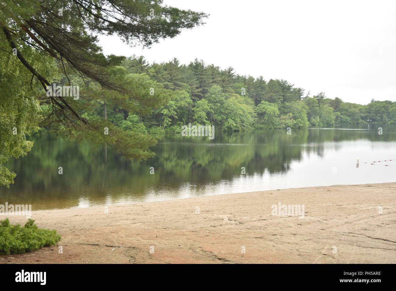 Stunning photo of a small beach next to Houghton's pond Stock Photo - Alamy