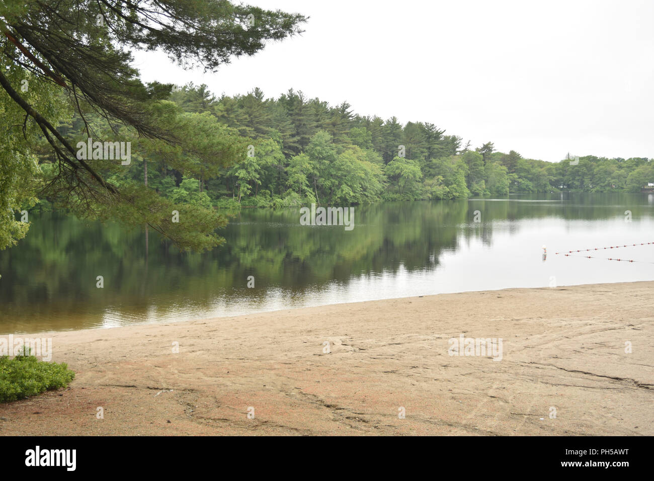 Sandy beach in the blue hills in Massachusetts Stock Photo - Alamy