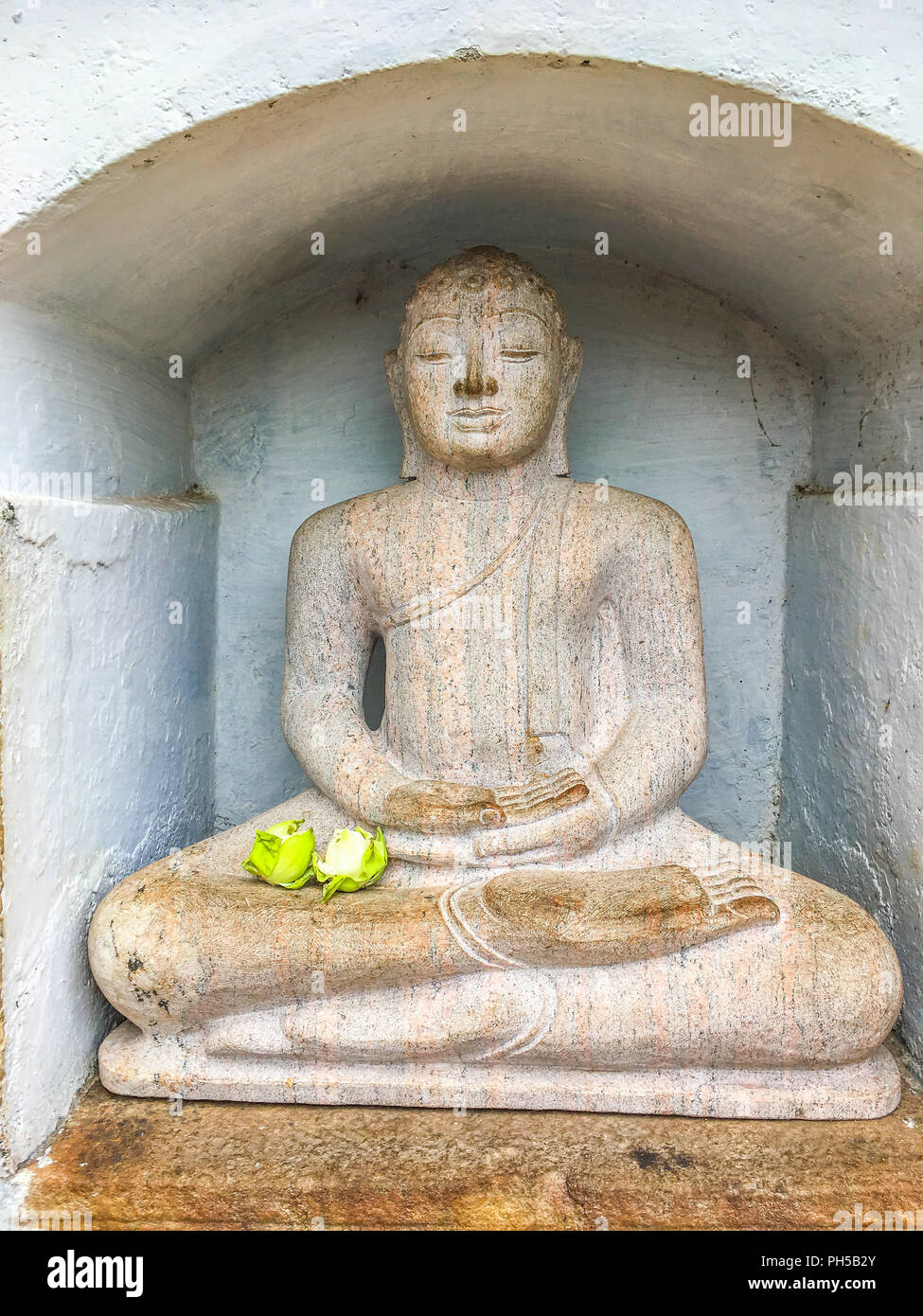 Buddha Statue, Sri Lanka Stock Photo - Alamy